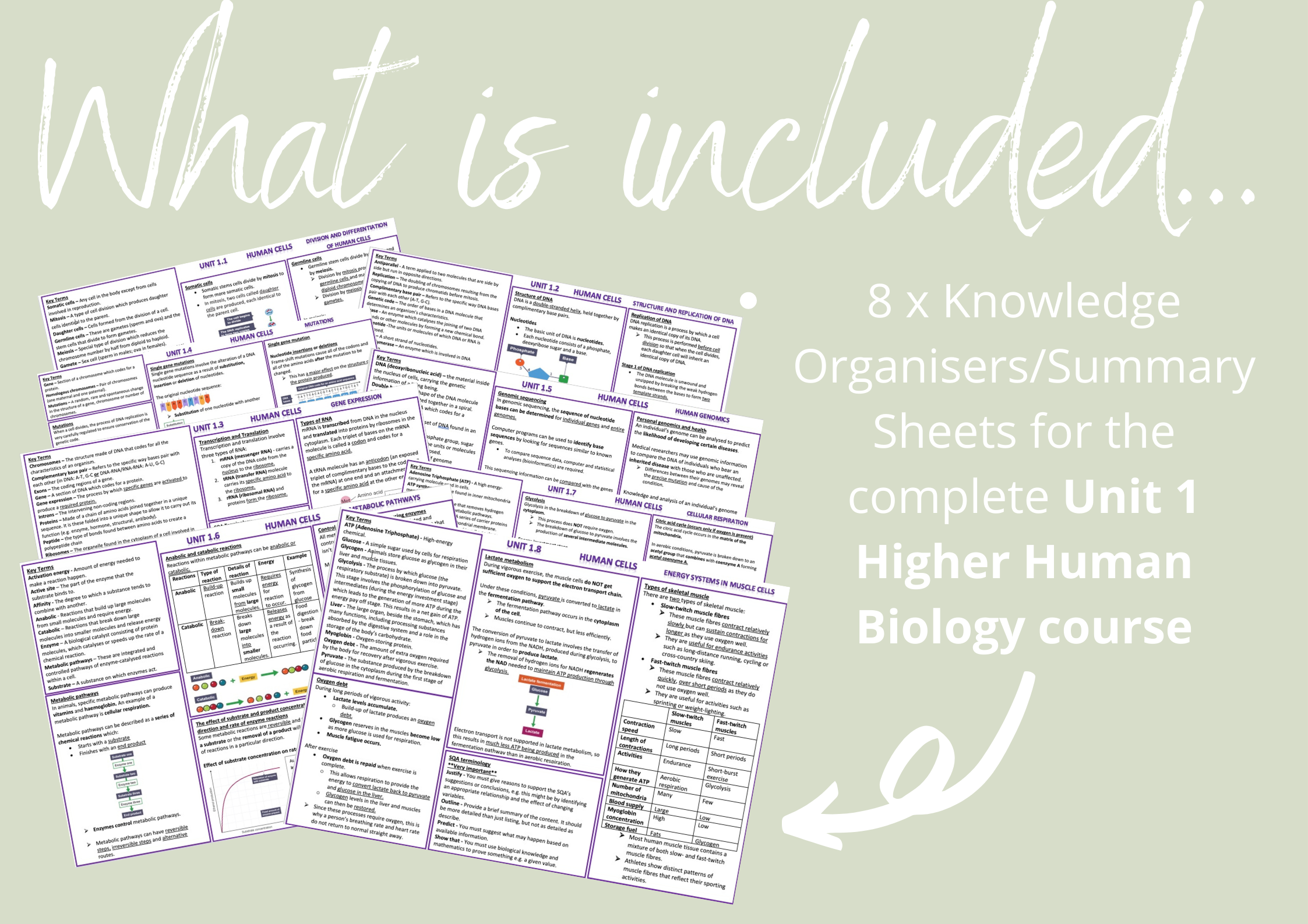 Unit 1 of Higher Human Biology - 8 x Knowledge Organisers / Summary ...