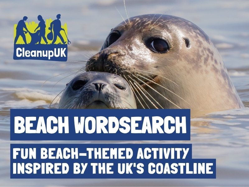 Beach Wordsearch Sheet - CleanupUK | Teaching Resources