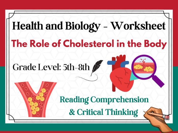 The Role of Cholesterol in the Body: Reading Comprehension Passages ...