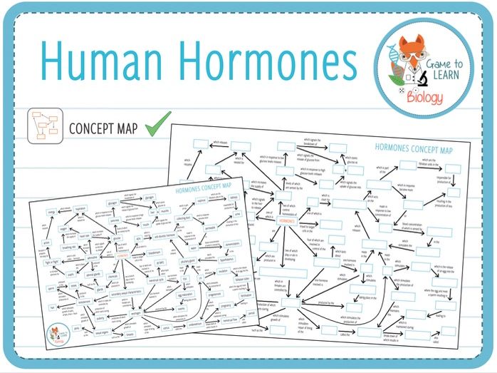 Human Hormones Concept Map Ks4 Teaching Resources