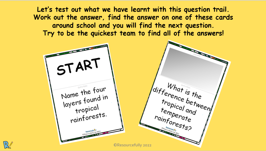 Rainforest Summarising Lesson KS2 Teaching Resources