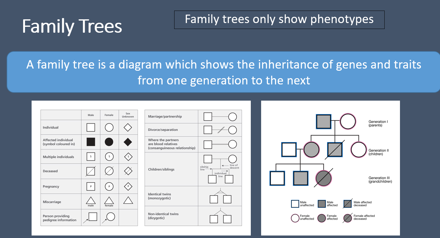 B6 Inheritance - Family Trees & Sex Determination | Teaching Resources