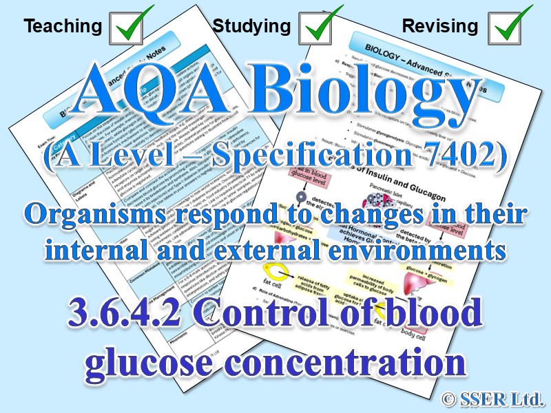 BIOA_AQA Topic Notes: 3.6.4.2 Control of blood glucose concentration ...