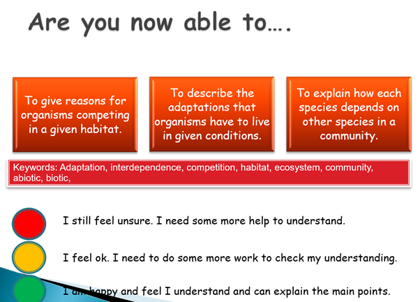 B16.8 Adaptations in plants | Teaching Resources