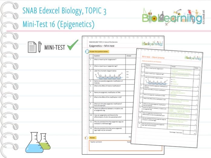 Epigenetics - Mini-test (KS5) | Teaching Resources
