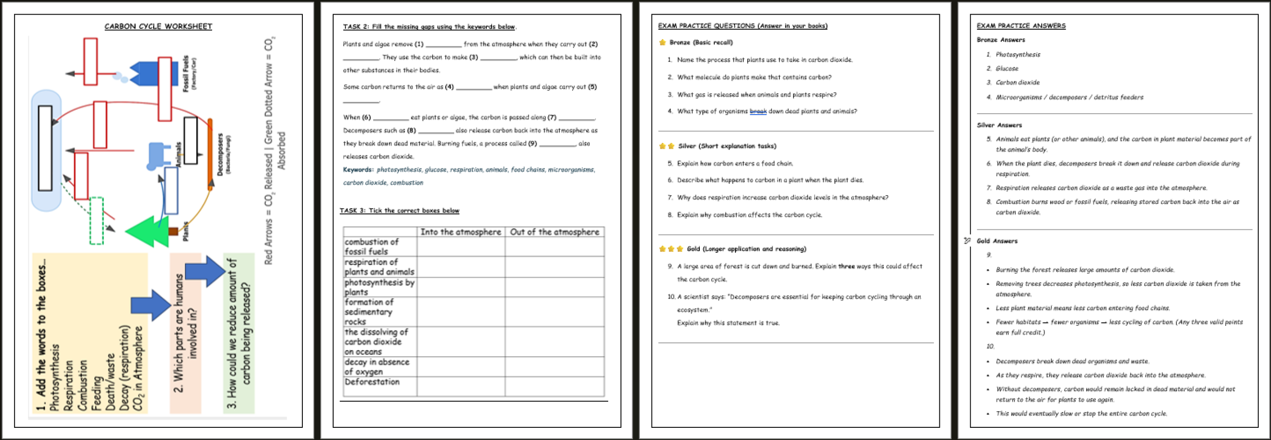 The Carbon Cycle AQA GCSE (9-1) Biology | Teaching Resources