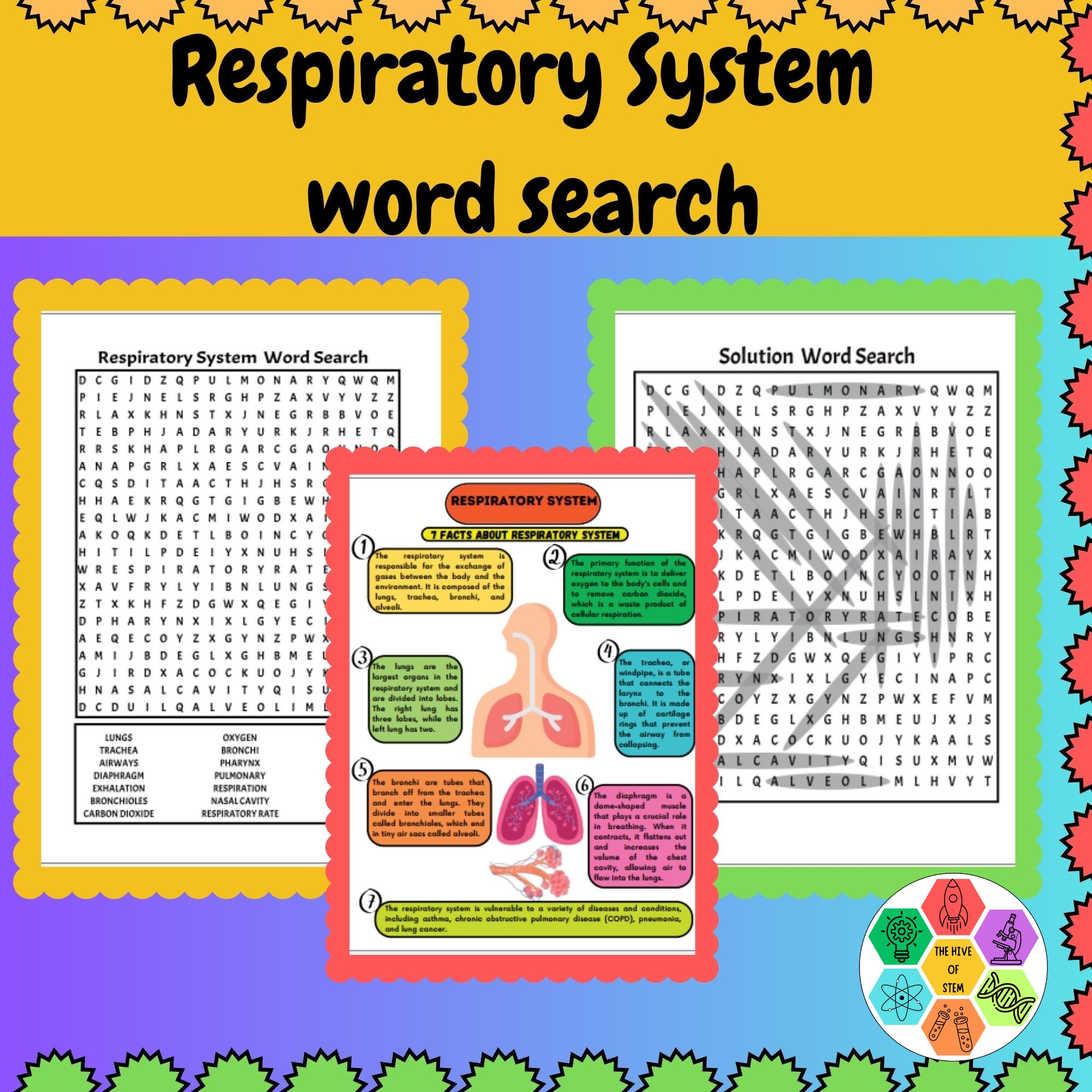 Human Body Systems | Respiratory System | Facts and Word Search ...