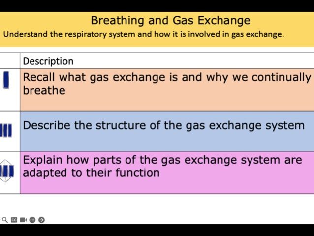 AQA GCSE B2 Organisation | Teaching Resources