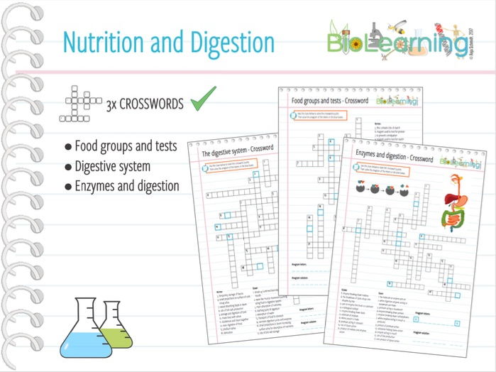 Nutrition and Digestion - 3x Crossword puzzles | Teaching Resources