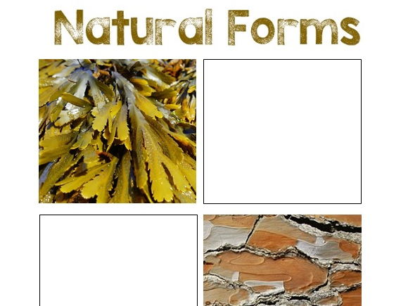 Arty Teacher Shop - Teaching Resources - TES