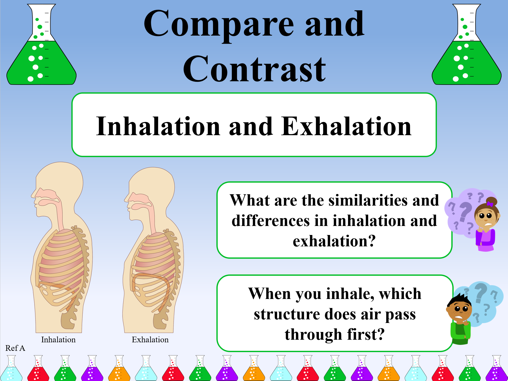 Four Weeks of Human Body Part 1 Bellringers Warm Ups | Teaching Resources