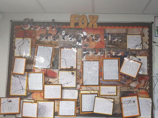 FOX by Margaret Wild display | Teaching Resources