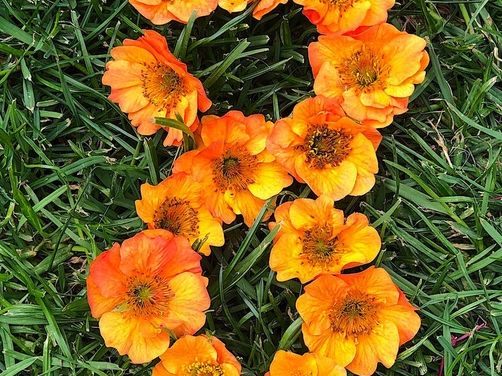 Natural Number 8 by stacey_joyce | Teaching Resources