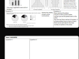 GCSE Statistics Homework Booklet - Representing Data | Teaching Resources