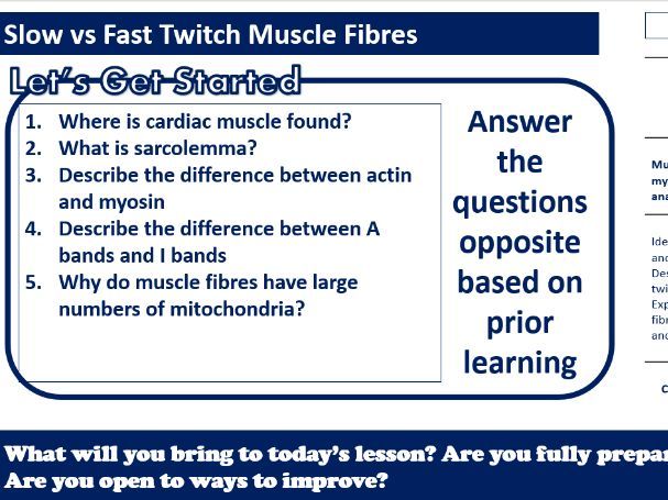 Slow and Fast Twitch Muscle Fibres- AAQ Applied Science | Teaching ...