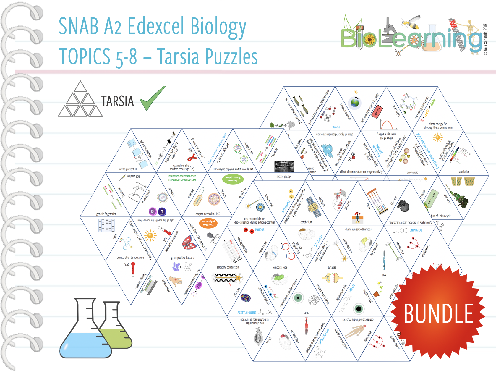 SNAB Biology Topics 5-8 - Tarsia Games | Teaching Resources