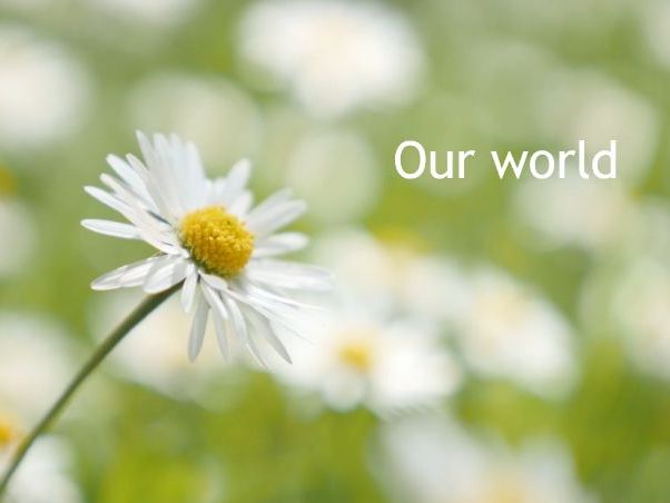 Year 4 - Religious Education - how to make the world a better place ...