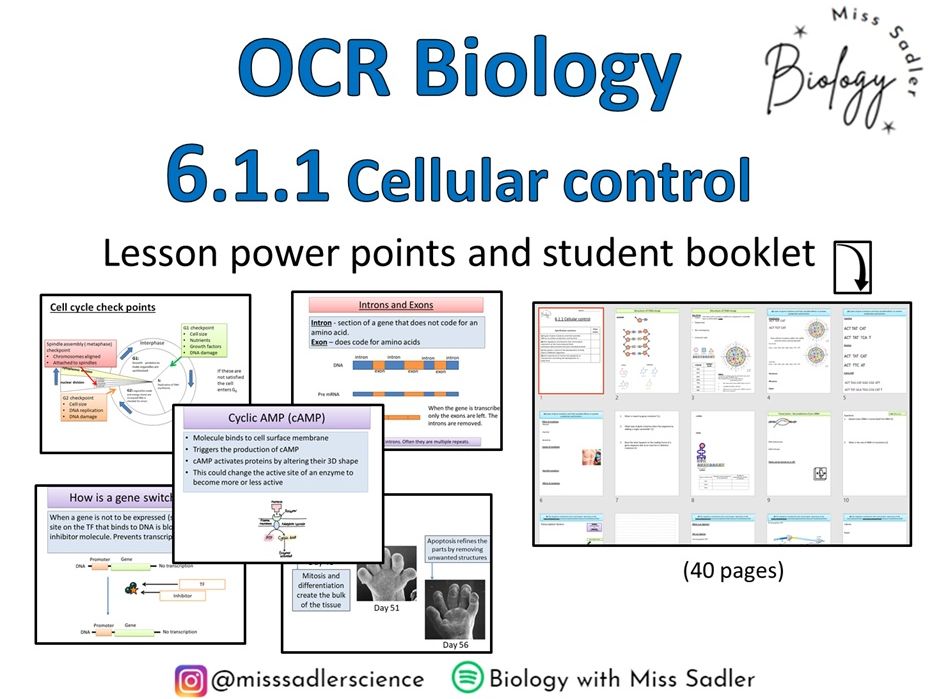 OCR Biology 6.1.1 Cellular control (8 lessons) | Teaching Resources