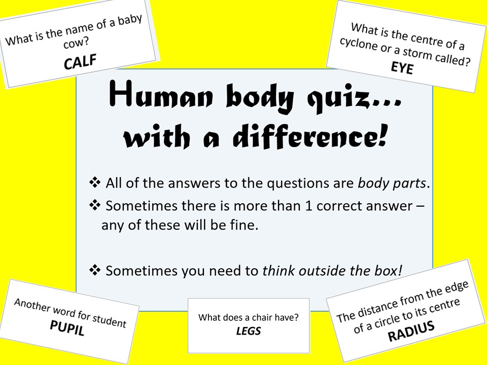End Of Term Quiz Human Body Teaching Resources