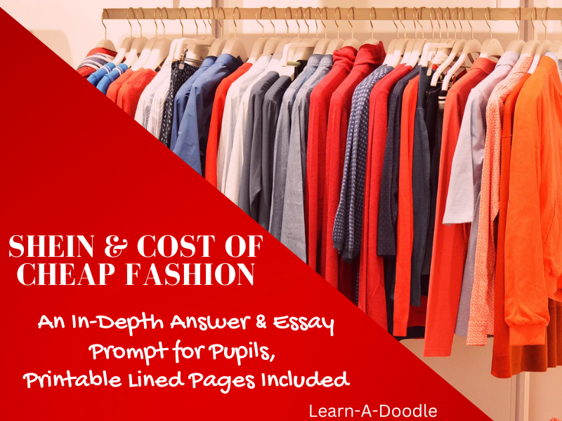 SHEIN and the Cost of Cheap Fashion! An In-Depth Answer & Essay Prompt ...