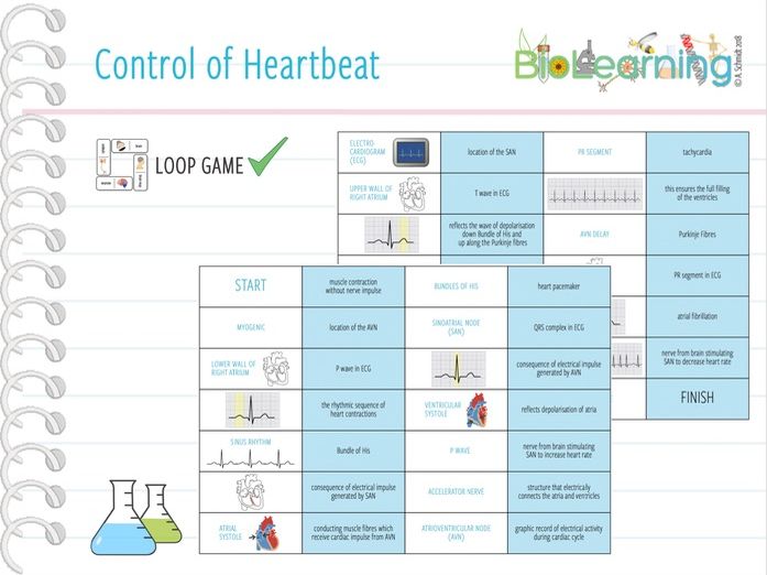Control of Heartbeat - Loop Game (KS5) | Teaching Resources