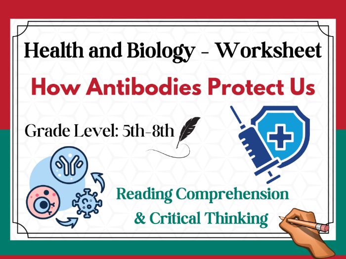 How Antibodies Protect Us: Reading Comprehension Passages & Questions ...