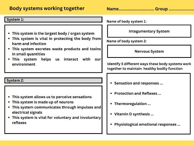 Body Systems Working Together Teaching Resources