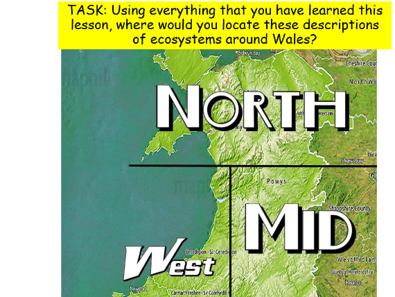 ECOSYSTEMS NEW CURRICULUM FOR WALES - What is our ecosystem? | Teaching ...