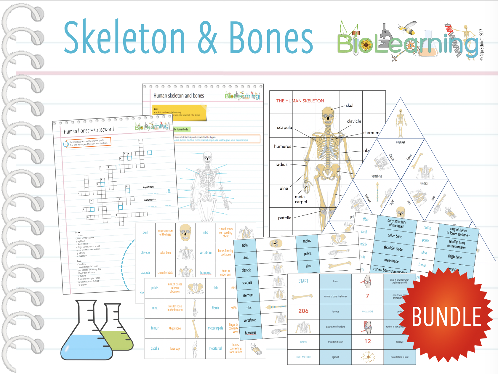 Skeleton and bones - 10x Games and Activities(KS2/KS3) | Teaching Resources