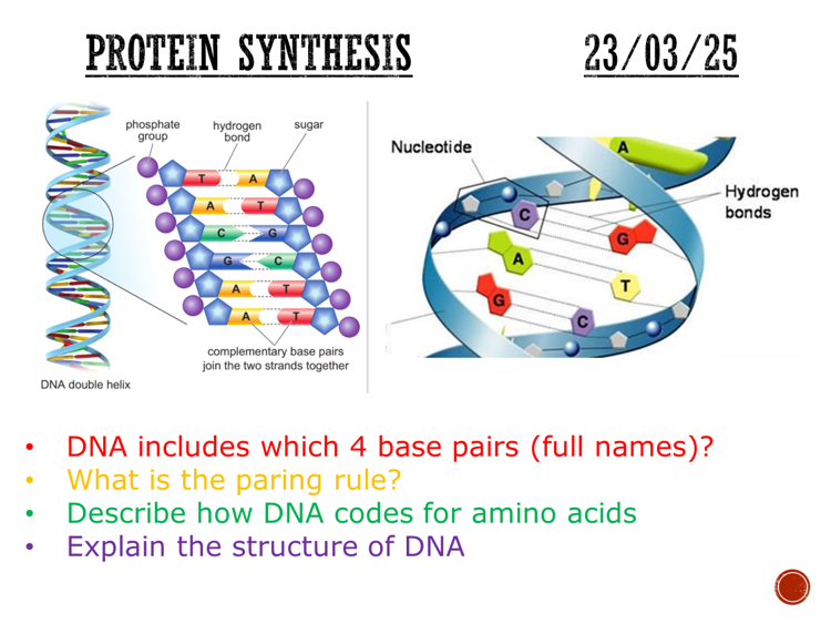 Protein synthesis (transcription/translation) - complete lesson (GCSE 1 ...