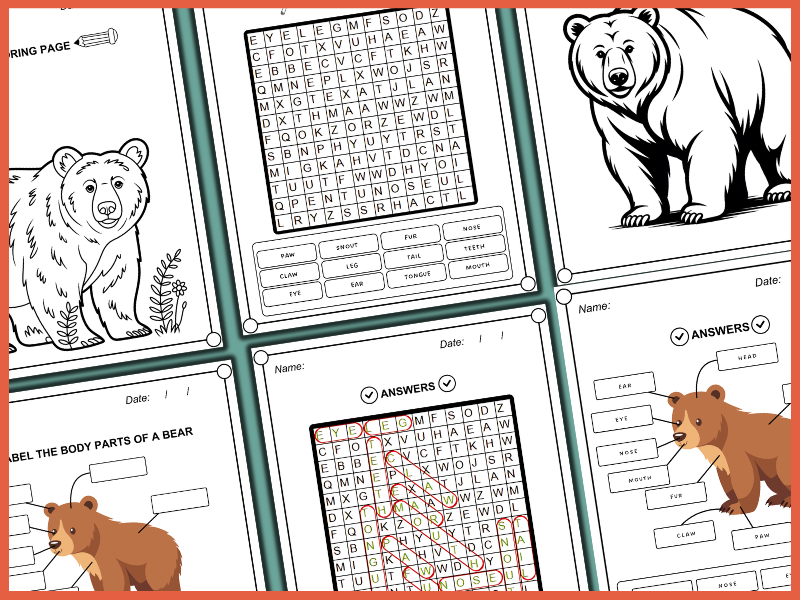 Bear Body Parts in English | Forest Animal Labeling, Coloring & Word ...