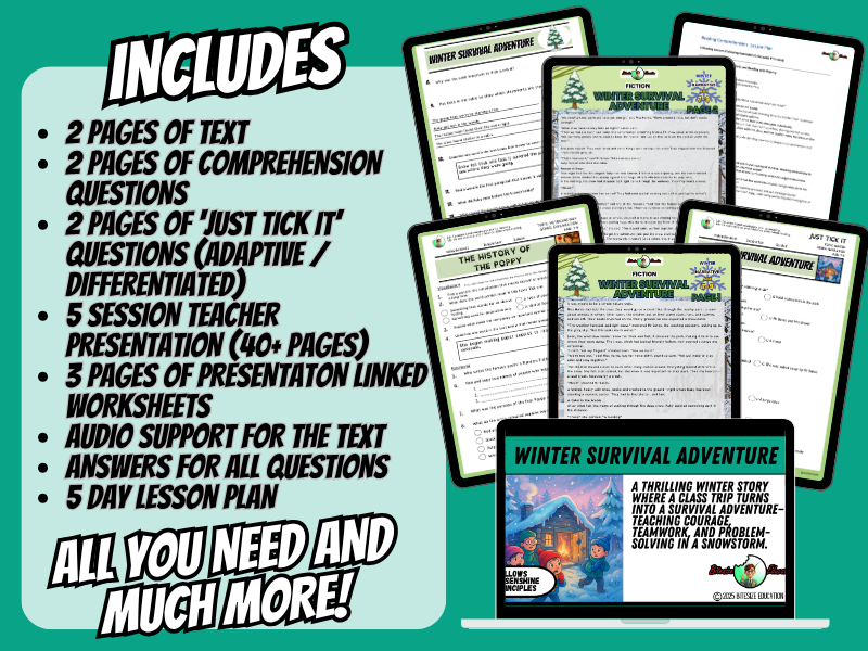 Winter Survival Adventure | Reading Comprehension | Year 3/4 | Teaching ...
