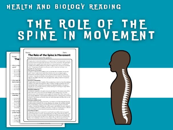 Human Body Systems & Their Functions Reading Worksheet Bundle ...