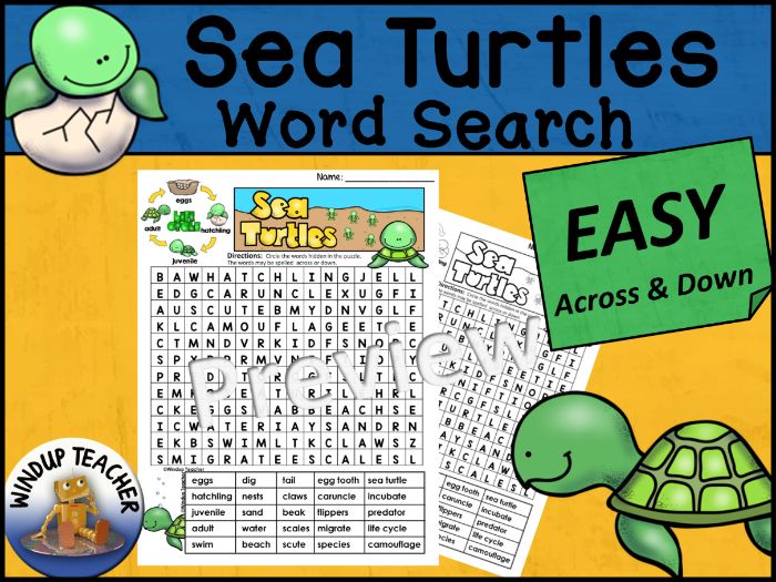 Sea Turtle Life Cycle Word Search EASY Puzzle Teaching Resources