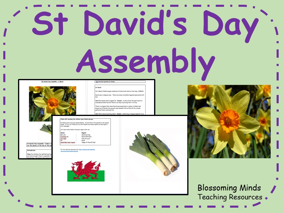 Primary Welsh resources