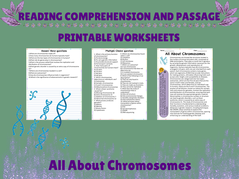 Understanding Chromosomes: Educational Passage with Key Questions ...