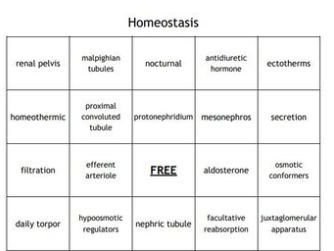 "Homeostasis" Bingo set for a Zoology Course | Teaching Resources