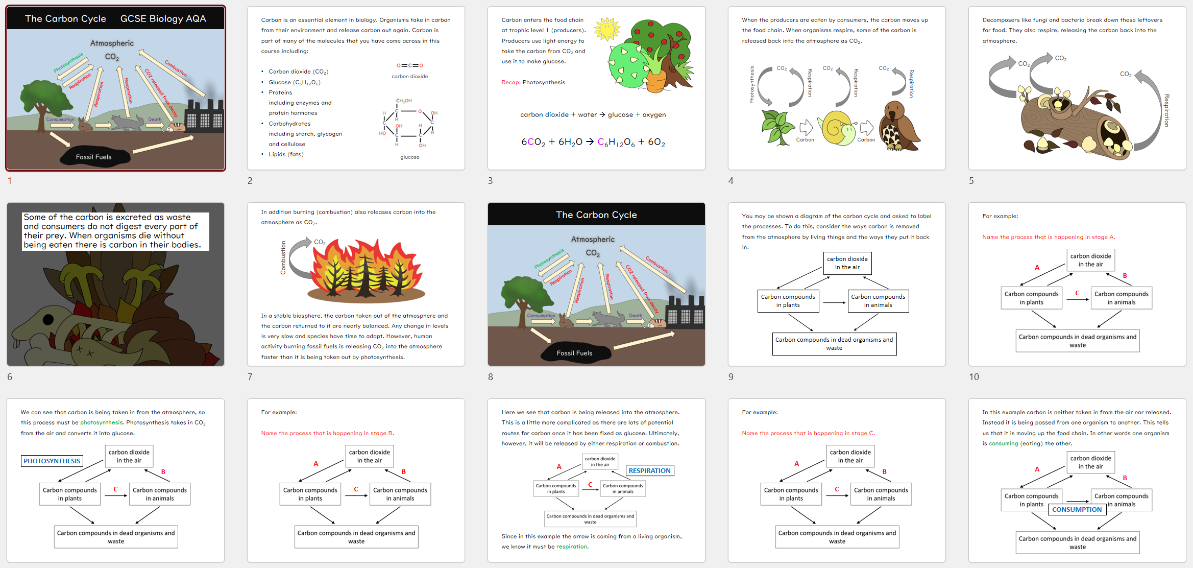 The Carbon Cycle Supplementary Slides and Worksheet (GCSE Biology AQA ...