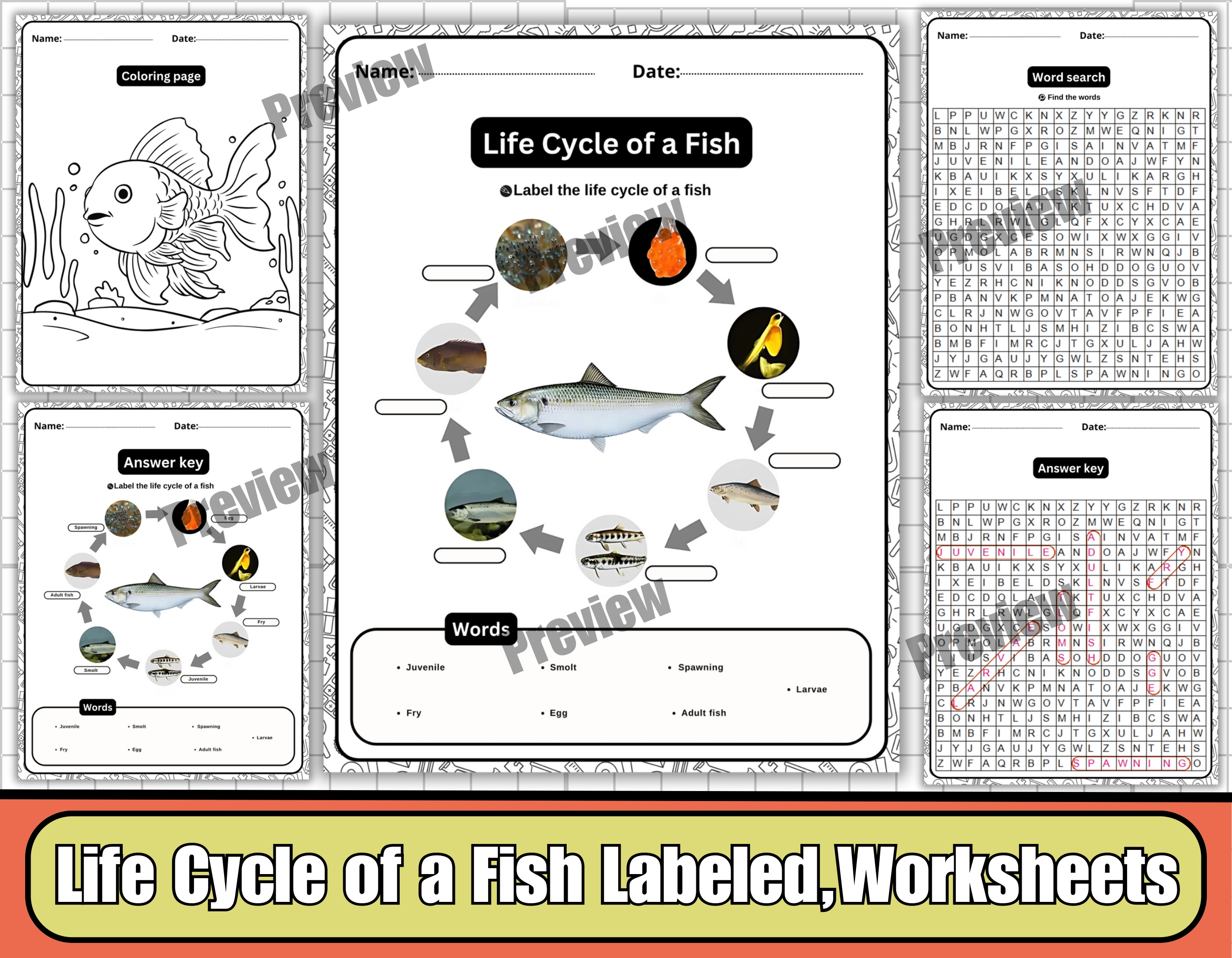 Life Cycle of a Fish – Labeling Diagram, Worksheets & Coloring | Ocean ...