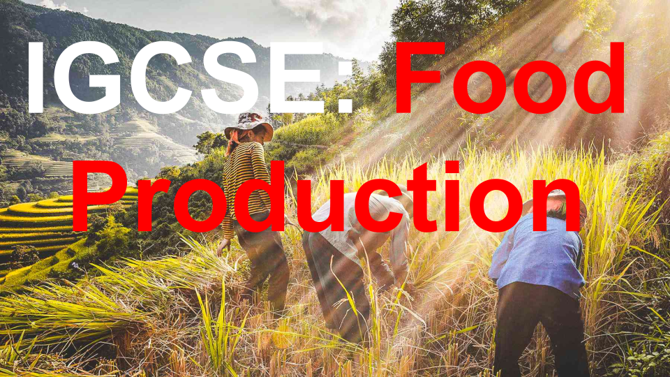 Sustainable Food Production Gcse Geography at Andrew Hook blog