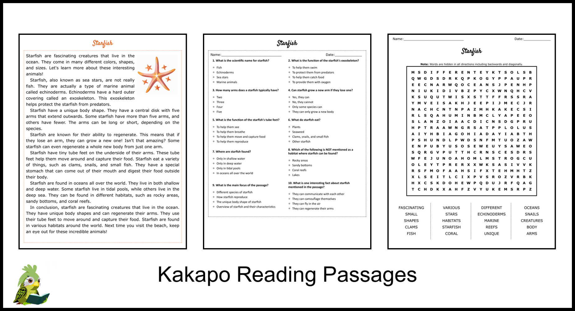 Starfish Reading Comprehension and Word Search | Teaching Resources