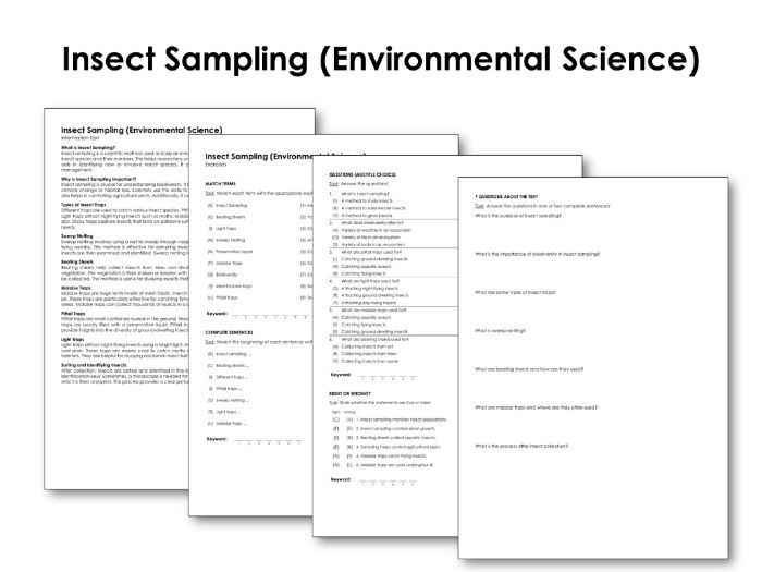 Insect Sampling (Environmental Science) | Teaching Resources