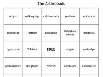 "The Arthropods" Bingo for a Zoology Course | Teaching Resources