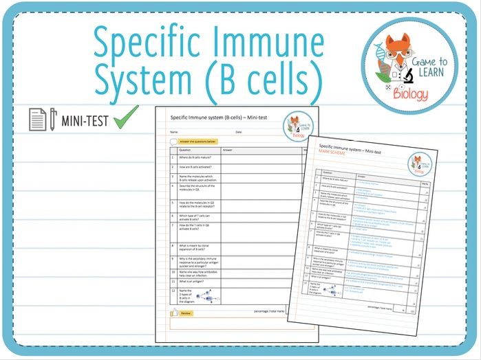 Specific Immune system (B cells) - Mini-test (KS5) | Teaching Resources