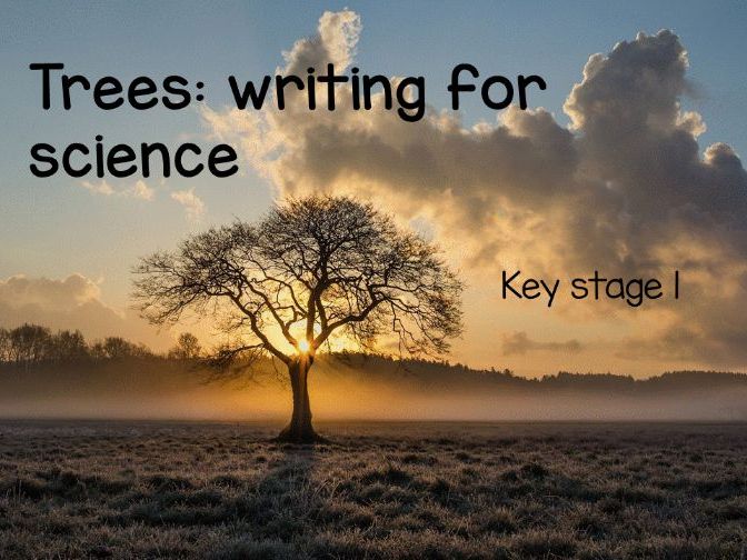 KS1 trees: writing for science | Teaching Resources