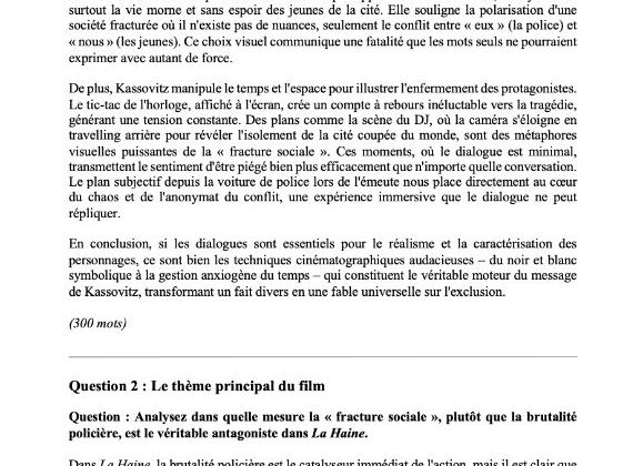 La Haine: 5 A* 300 word Essays for Complex Questions | Teaching Resources