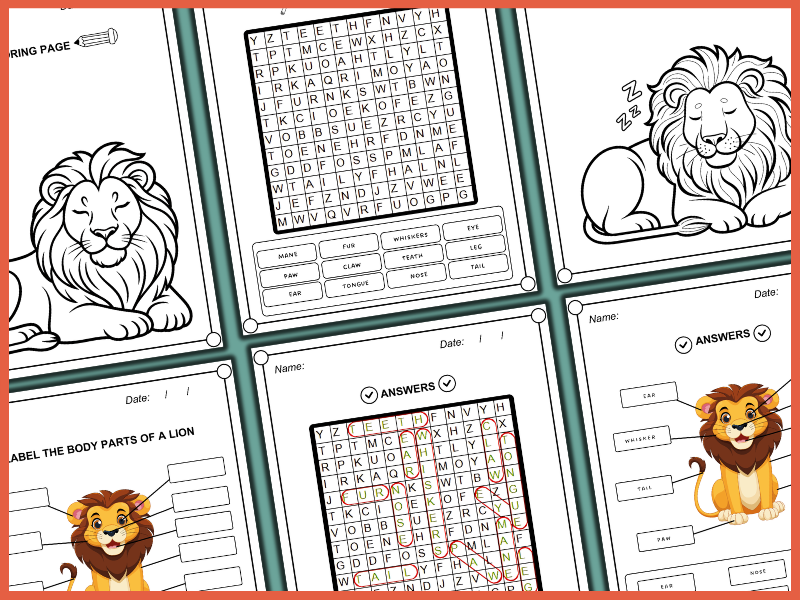 Lion Body Parts Worksheet Pack | Labeling, Coloring & Word Search ...