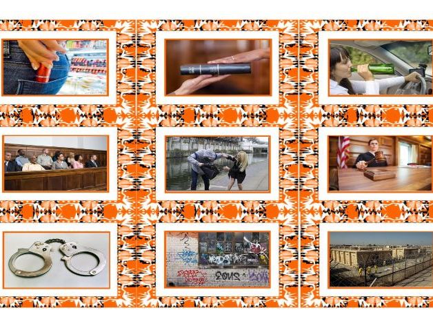 Crime, Law Enforcement, and Courts 6 Spanish Photo Game Bundle ...