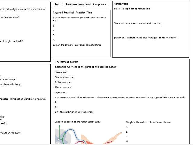 AQA Unit 5: Homoeostasis and Response combined revision | Teaching ...