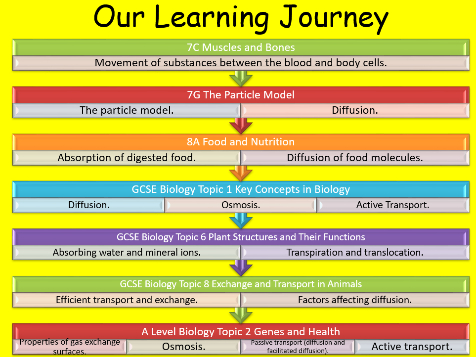 Edexcel CB1 SB1 Osmosis in Potatoes Core Practical Complete Lesson ...